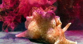 News - Science | Youngzine